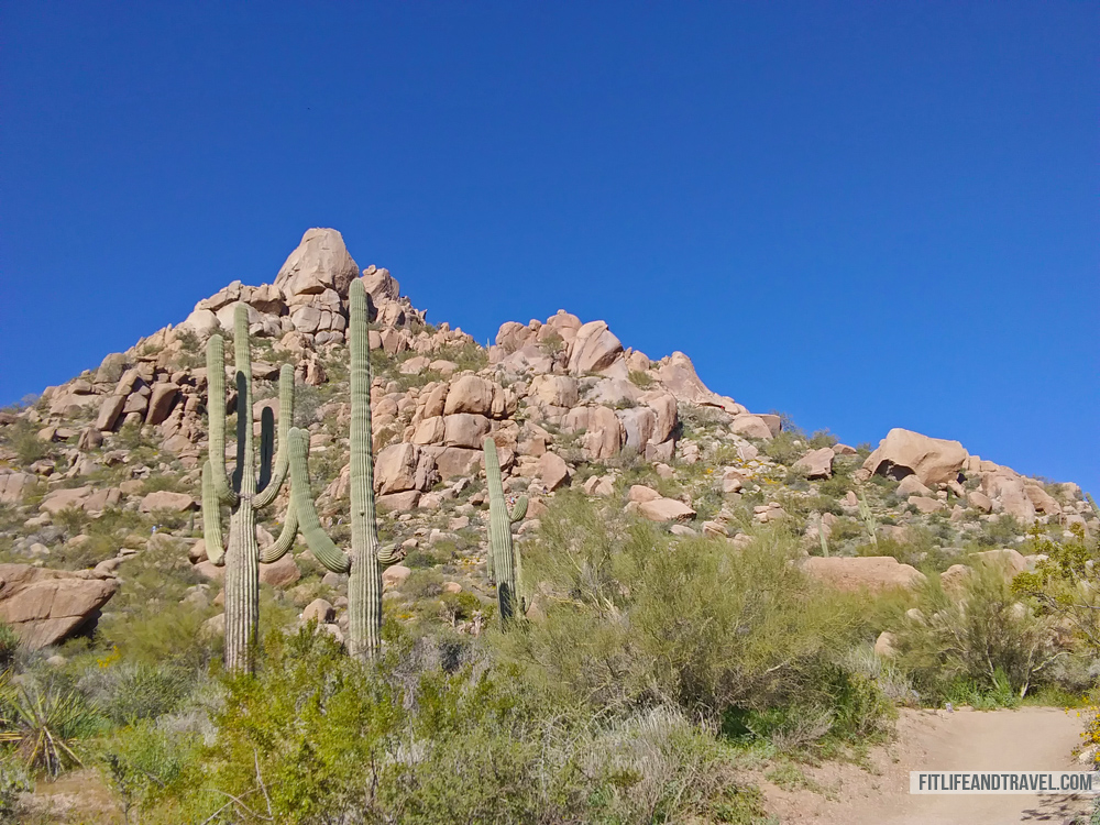 7 Unique Adventures in the Desert Southwest USA – The Planking Traveler