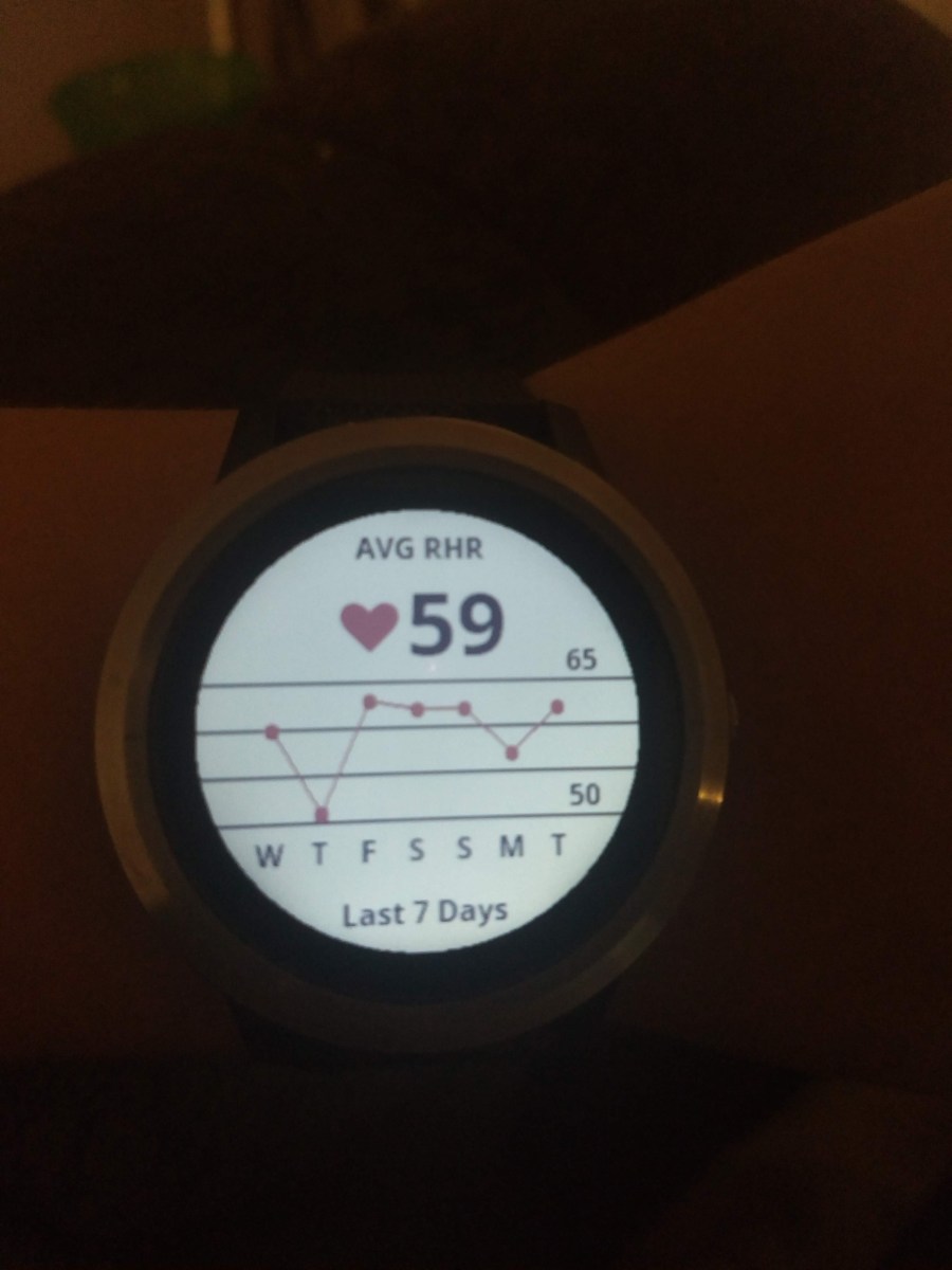 Garmin Vivoactive 3 SmartWatch Review – Better Than A FitBit? – The ...