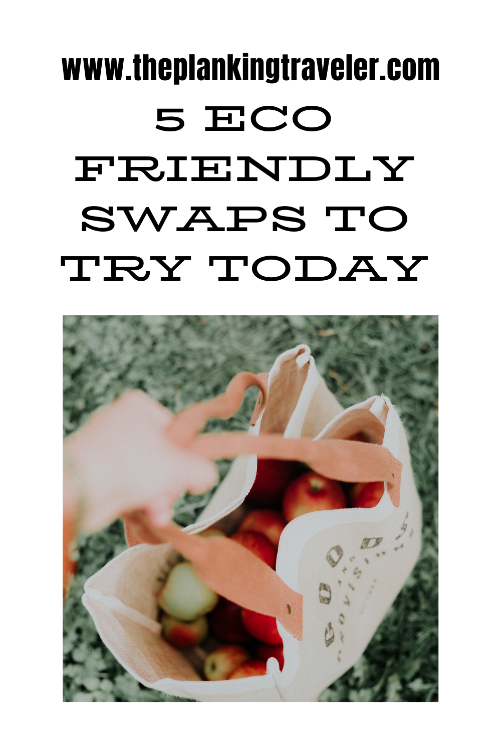 5 Eco-Friendly Swaps To Try Today – The Planking Traveler