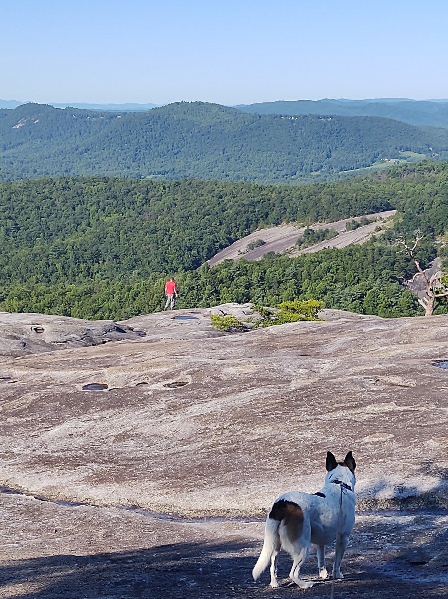 The Best Hikes Near North Carolina’s Triad – The Planking Traveler