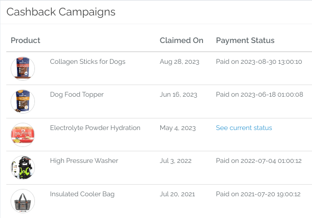 PPOC Club Review – Market research that pays – The Planking Traveler